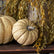 Ragon House Halloween Fall 5.75” White Short Pumpkin – The Primitive ...