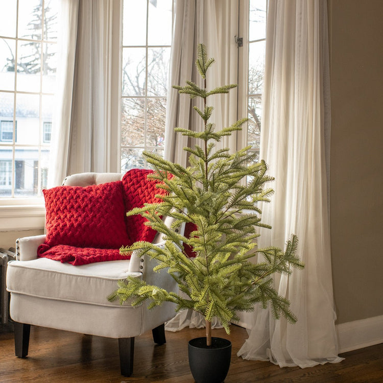 Ragon House 59.25' Primitive Colonial Green Christmas Tree in Black Po ...