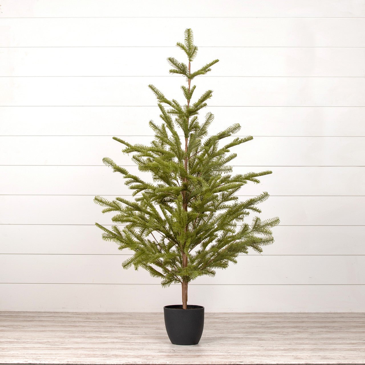 Ragon House 59.25' Primitive Colonial Green Christmas Tree in Black Po ...