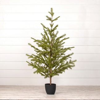 Ragon House 59.25' Primitive Colonial Green Christmas Tree in Black Po ...